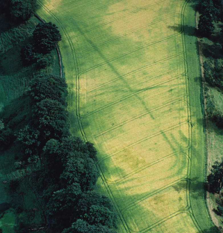 RGP Annual Report 2002 | The Roman Gask Project