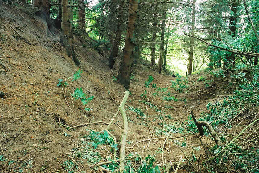 Innerpeffray | The Roman Gask Project